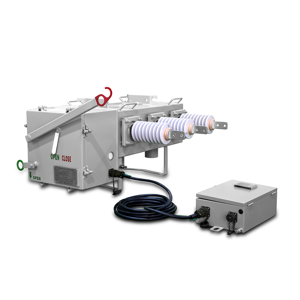 ASS (SF6 Gas Automatic Sectionalizer Switch) – DONG YANG EEC Co., Ltd.